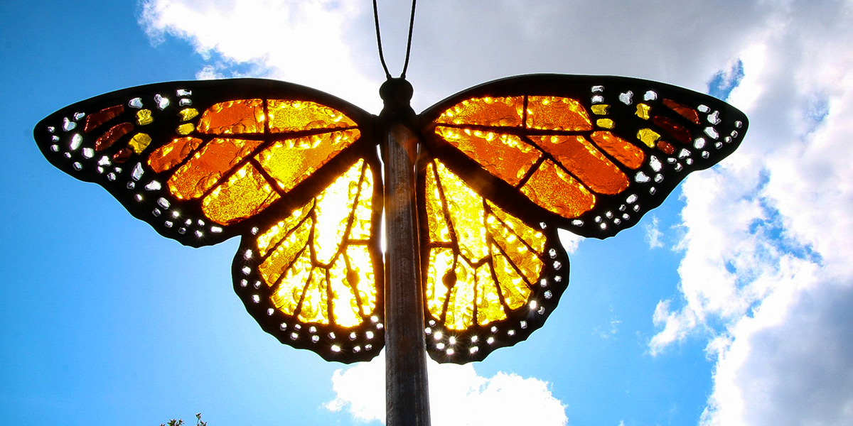 Education - Reiman Gardens